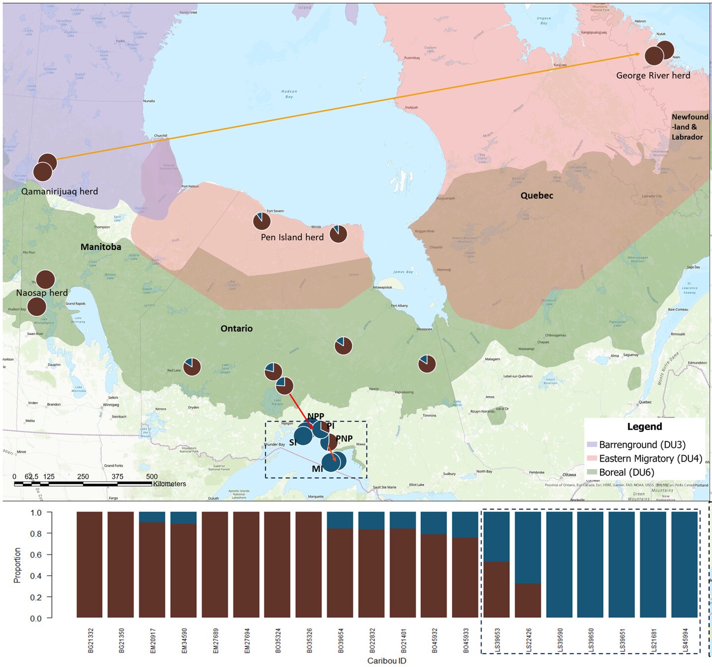 EcoGenomics Researchers disentangle the genomic population structure ...